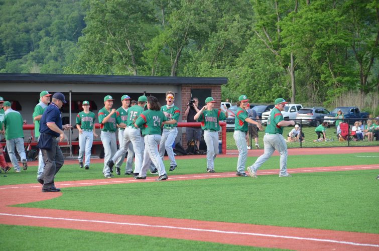 Barnesville doubles up Ferry in D-III | News, Sports, Jobs - The Times ...